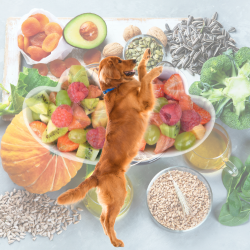 Vitamiinid | Koertekeskus - Alati teie jaoks olemas!